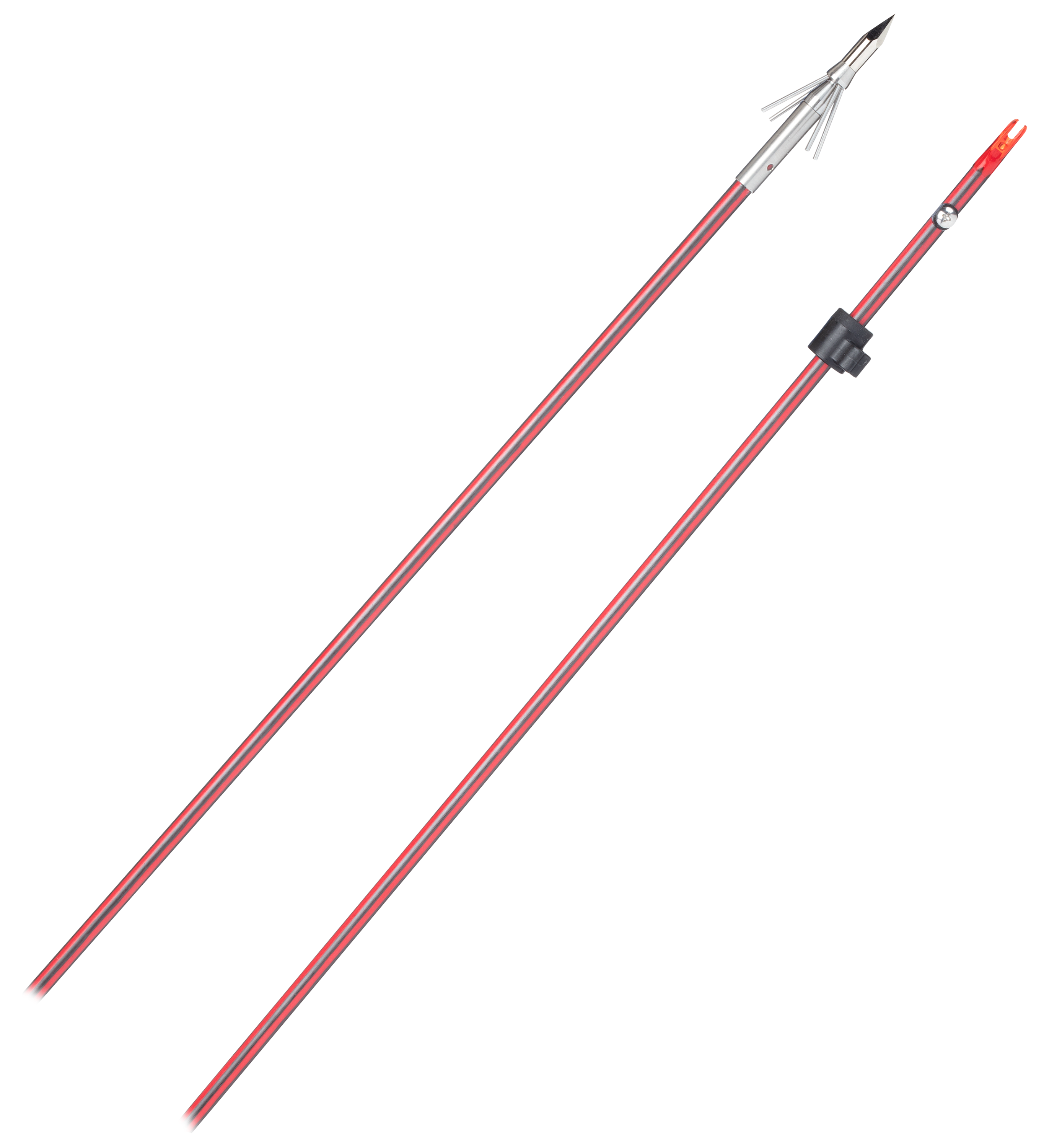 Cajun Archery Wasp Bowfishing Arrow with 4 Barb Stinger Point | Bass ...